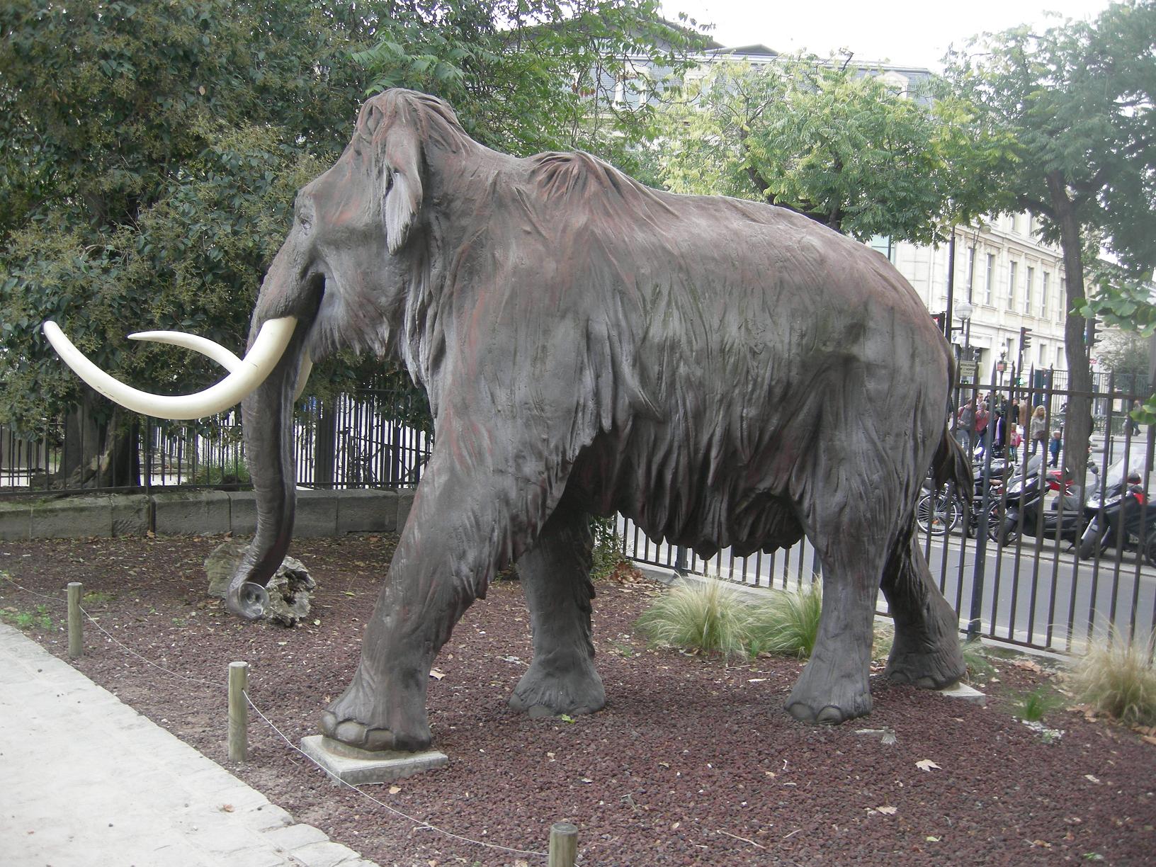 Rando au Jardin des Plantes de Paris | Blog de philippe Duriez